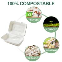 China Teenagers' Disposable Sugarcane Pulp Food Container Eco-friendly Clamshell Packaging for sale