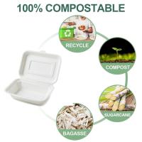 China Customized Logo Acceptable Eco-Friendly Bagasse Pulp Clamshell Lunch Box for Takeaway for sale