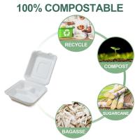 China Biodegradable Disposable Food Container Bagasse Pulp Tableware Box for Take Away Lunch for sale
