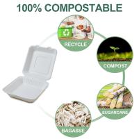 China 100% Environment-friendly Disposable Sugarcane Hinged Food Containers for Take Away for sale