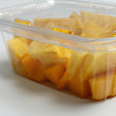 China Clear PET Clamshell Hinged Container Tamper Proof Packaging for Large Storage Box 600pcs for sale