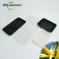 China Customized Disposable Rectangle PP Plastic Box 500ml Eco Friendly Food Storage Tray for sale