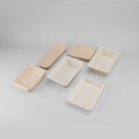 China Eco-Friendly Customized Size Cornstarch Disposable Plate Tableware for Lunch Sushi for sale