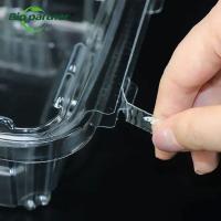 China Custom Order PET Clear High Hinged Square Plastic Blister Clamshell Box Food Containers for sale