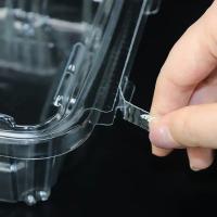 China Custom 20oz Clear PET Plastic Hinged Clamshell Container Tamper Proof Food Packaging for sale