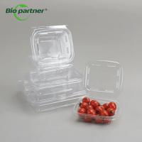 China Custom 20oz Clear PET Plastic Hinged Clamshell Container Tamper Proof Food Packaging for sale