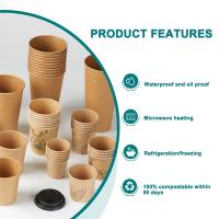China Plastic Free Biodegradable Paper Takeout Cup with Lids 100000 MOQ Custom Size for sale