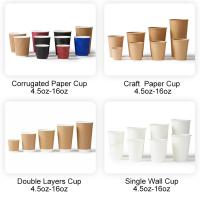 China Plastic Free Biodegradable Paper Takeout Cup with Lids 100000 MOQ Custom Size for sale