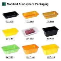 China Custom Black PP Frozen Food Tray Box 200ml for Supermarket Meat Vegetable Packaging for sale
