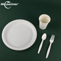 China 15*15*1.5cm Party Tableware Set for Easter and Birthday Chinese Year Celebration Pack for sale