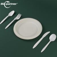 China 15*15*1.5cm Party Tableware Set for Easter and Birthday Chinese Year Celebration Pack for sale