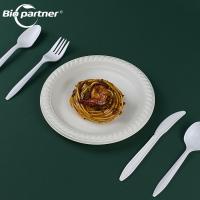 China 15*15*1.5cm Party Tableware Set for Easter and Birthday Chinese Year Celebration Pack for sale