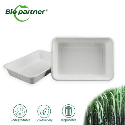 China PFAS Free Bagasse Snack Box Tray Eco-Friendly Sugarcane Container for Food Packaging for sale
