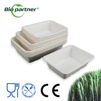 China Biodegradable Sugarcane Bagasse Snack Tray 100000 MOQ for Fast Food Serving for sale