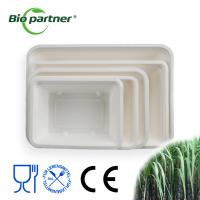 China Biodegradable Sugarcane Bagasse Snack Tray 100000 MOQ for Fast Food Serving for sale