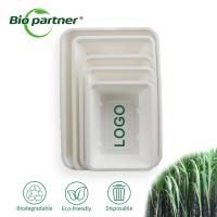 China Customized Size Biodegradable Sugarcane Bagasse Snack Box for Fries Burgers Hot Dogs for sale