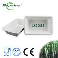China Biodegradable Hot Dog Food Packaging Tray Perfect for Take Away Fried Chicken Chips Snack for sale