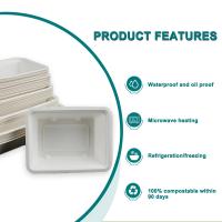 China Compostable Sugarcane Bagasse Disposable Hot Dog Snack Tray 100000 MOQ Microwave Safe for sale