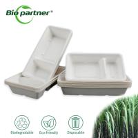 China Eco Friendly Sugarcane Bagasse Snack Box Tray 100% Biodegradable for Fast Food Takeaway for sale