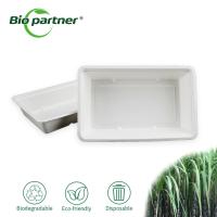 China Sugarcane Bagasse Snack Box 100% Biodegradable Compostable Food Container for Takeaway for sale