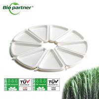 China Disposable Biodegradable Sugarcane Bagasse Paper Pulp Hot Heavy Duty Cake Dinner Plates for sale