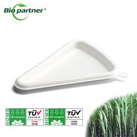 China Disposable Biodegradable Sugarcane Bagasse Paper Pulp Triangle Cake Plate for Birthday Party for sale