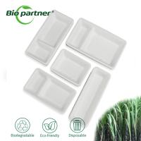 China Disposable Bagasse Snack Box Tray 100% Biodegradable Compostable for Fast Food Takeaway Custom Logo for sale