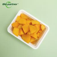 China Disposable Bagasse Snack Box Tray 100% Biodegradable Compostable for Fast Food Takeaway Custom Logo for sale