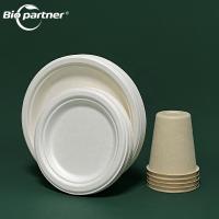 China 155*155*12.5mm LFGB Certified Disposable Tableware Set for Easter and Birthday Parties for sale