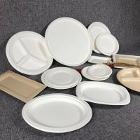 China 155*155*12.5mm LFGB Certified Disposable Tableware Set for Easter and Birthday Parties for sale