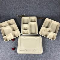 China Biodegradable Sugarcane Bagasse Food Container with Lid 750ml Microwave Safe Custom Size for sale