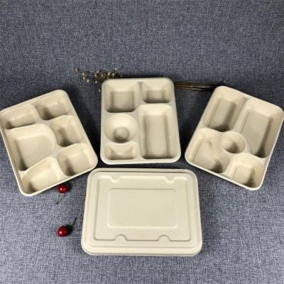 China Biodegradable Sugarcane Bagasse Food Container with Lid 750ml Microwave Safe Custom Size for sale