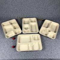 China Biodegradable Sugarcane Bagasse Food Container with Lid 750ml Microwave Safe Custom Size for sale