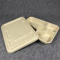 China Biodegradable Sugarcane Bagasse Food Container with Lid 750ml Microwave Safe Custom Size for sale