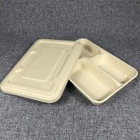 China Biodegradable Sugarcane Bagasse Food Container with Lid 750ml Microwave Safe Custom Size for sale