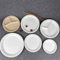 China Party Occasion 9