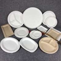 China Party Occasion 9