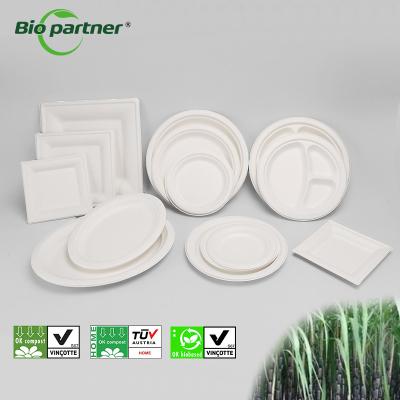 China Customized Size Compostable Bagasse Food Container Disposable Tableware for sale