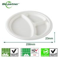 China Disposable Square Sugarcane Pulp Plate Tableware for Home Restaurant Bar Hotel Wedding for sale