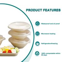 China 100% Biodegradable Food Packaging for Take-out Bento Box Salad Container and More for sale