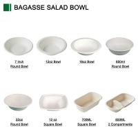 China 100% Biodegradable Food Packaging for Take-out Bento Box Salad Container and More for sale