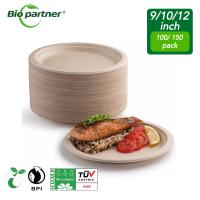 China Biopartner Wedding Compostable Dinnerware Tableware Sugarcane Bagasse Paper Disposable Lunch Plates for Home for sale
