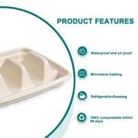 China Back to School Occasion Eco-Friendly Disposable Taco Holders Taco Plate Box Platter for sale