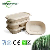 China Biodegradable 32oz Bagasse Pulp Soup Salad Bowl with Lid Compostable Food Container for sale