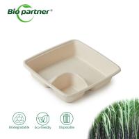 China 4 Compartment Disposable Bagasse Plates 10 Inch for Fast Food School Lunch Trays for sale