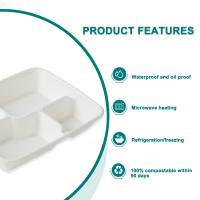 China 4 Compartment Disposable Bagasse Plates 10 Inch for Fast Food School Lunch Trays for sale