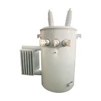 China 333kVA Single Phase Pole Mounted Distribution Transformer 21.6kV High Voltage 99.43% Efficiency for sale