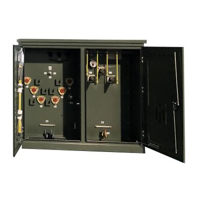 China 300 KVA Three Phase Pad Mounted Oil Immersed Distribution Transformer 24.94KV with 99% Efficiency and 55 dBA Sound Level for sale