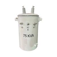 China Single Phase Pole Mounted Oil Immersed Transformer 75kVA 34500V Dual Winding for sale