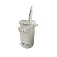 China 100 KVA Single Phase Pole Mounted Distribution Transformer Oil Type 34.5kV to 120V IEEE for sale